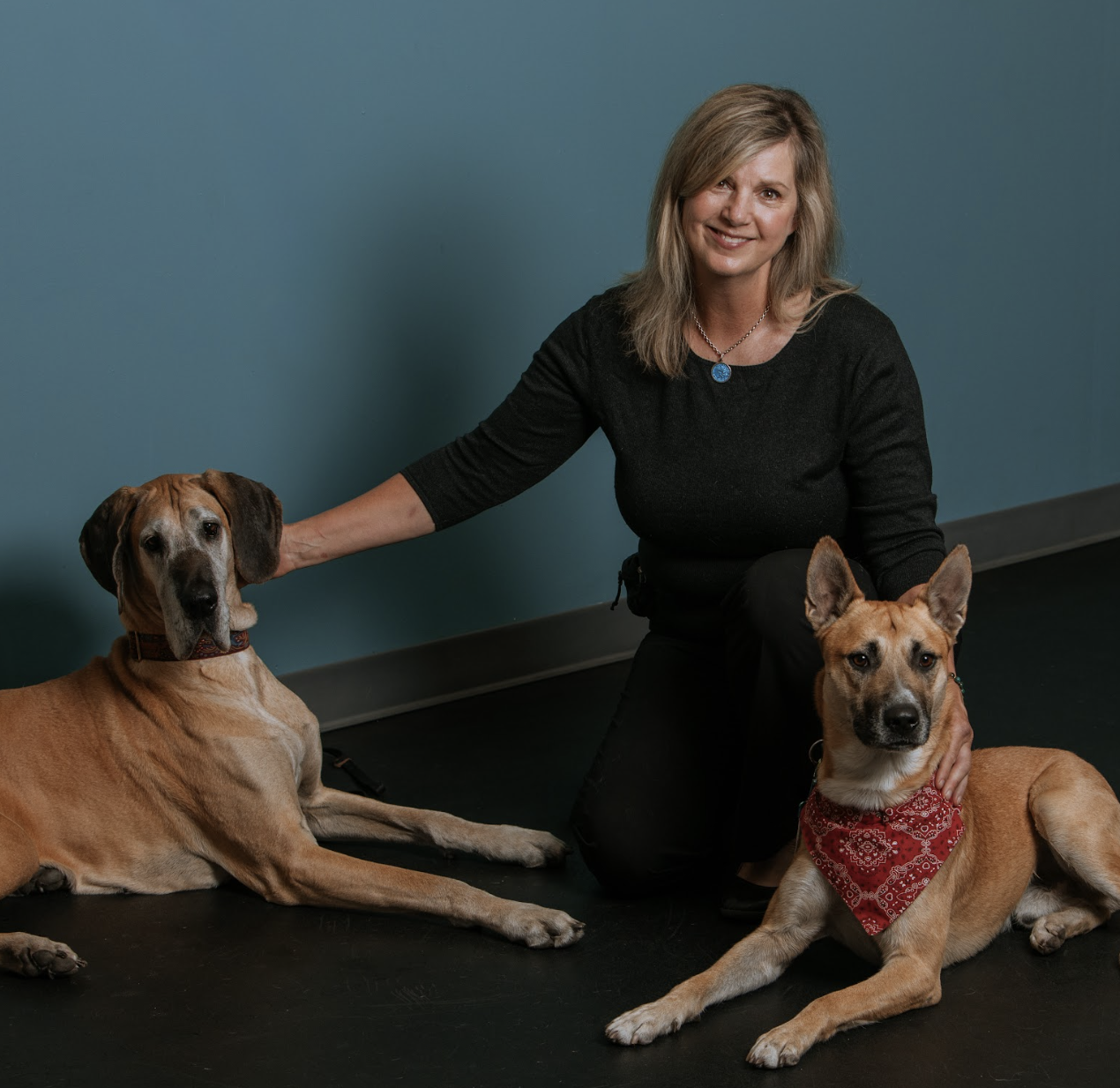 About BlueDog Dog Trainer Colleen CCTA Certified Dog Trainer